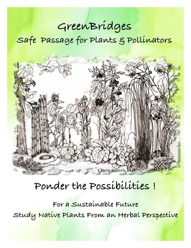 Fresh Start Herbs with Susan Betz