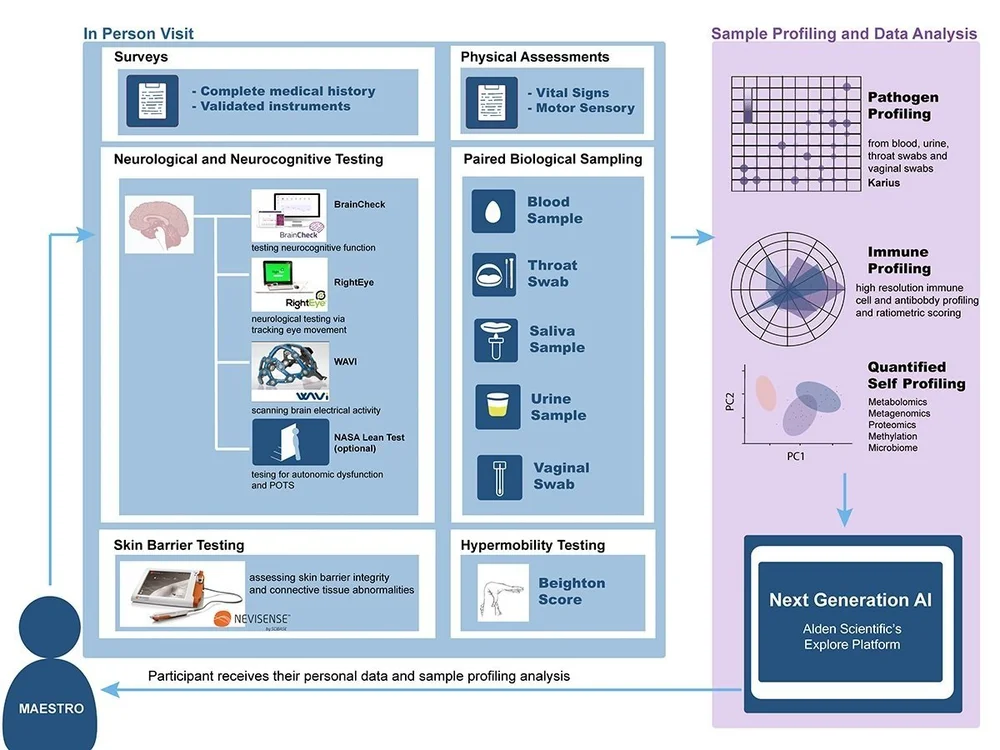 MIT MAESTRO Study — Tal Research Group