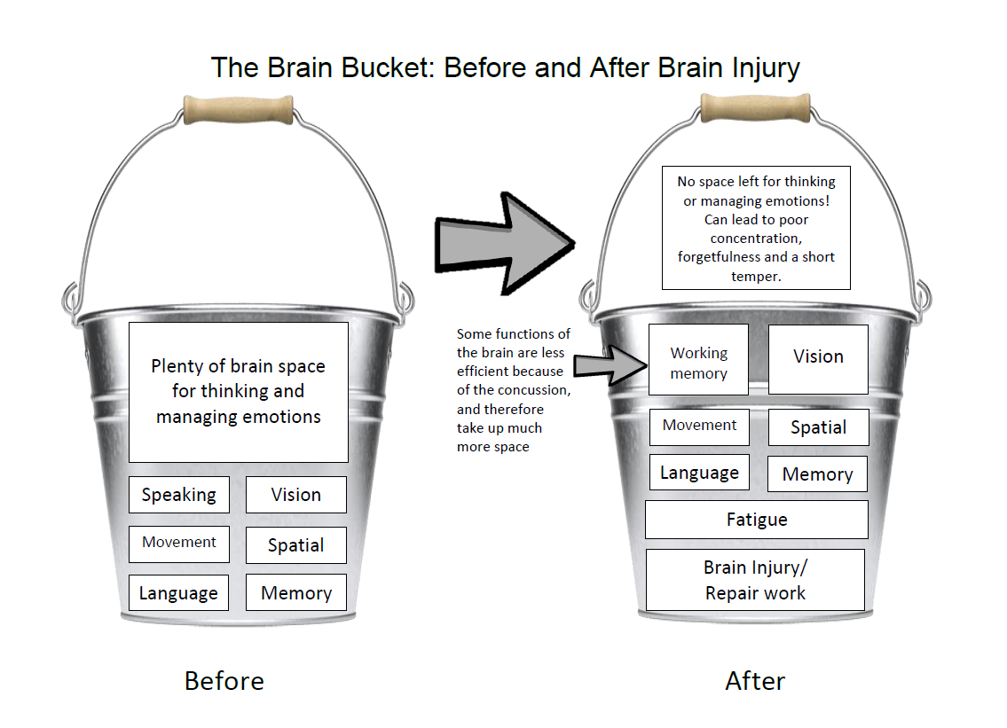 Neuropsychology — Brain Injury Otago & Canterbury