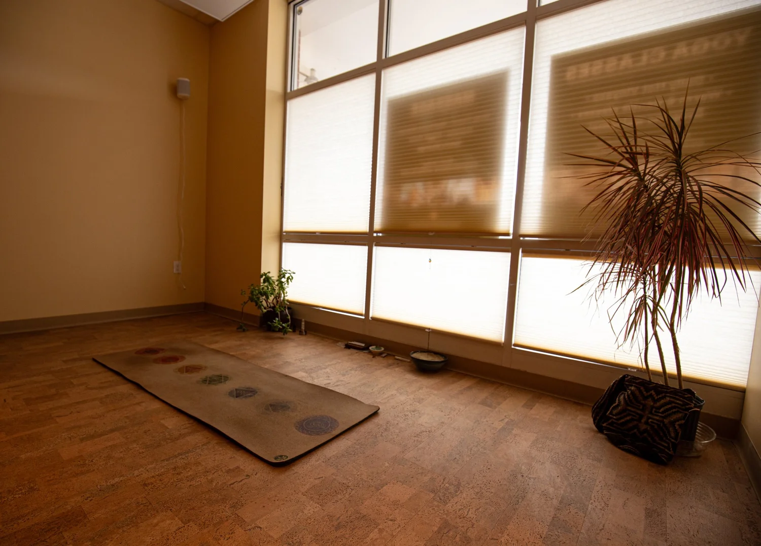 Amherst Yoga Studio & Massage Therapy for Community and Wellness