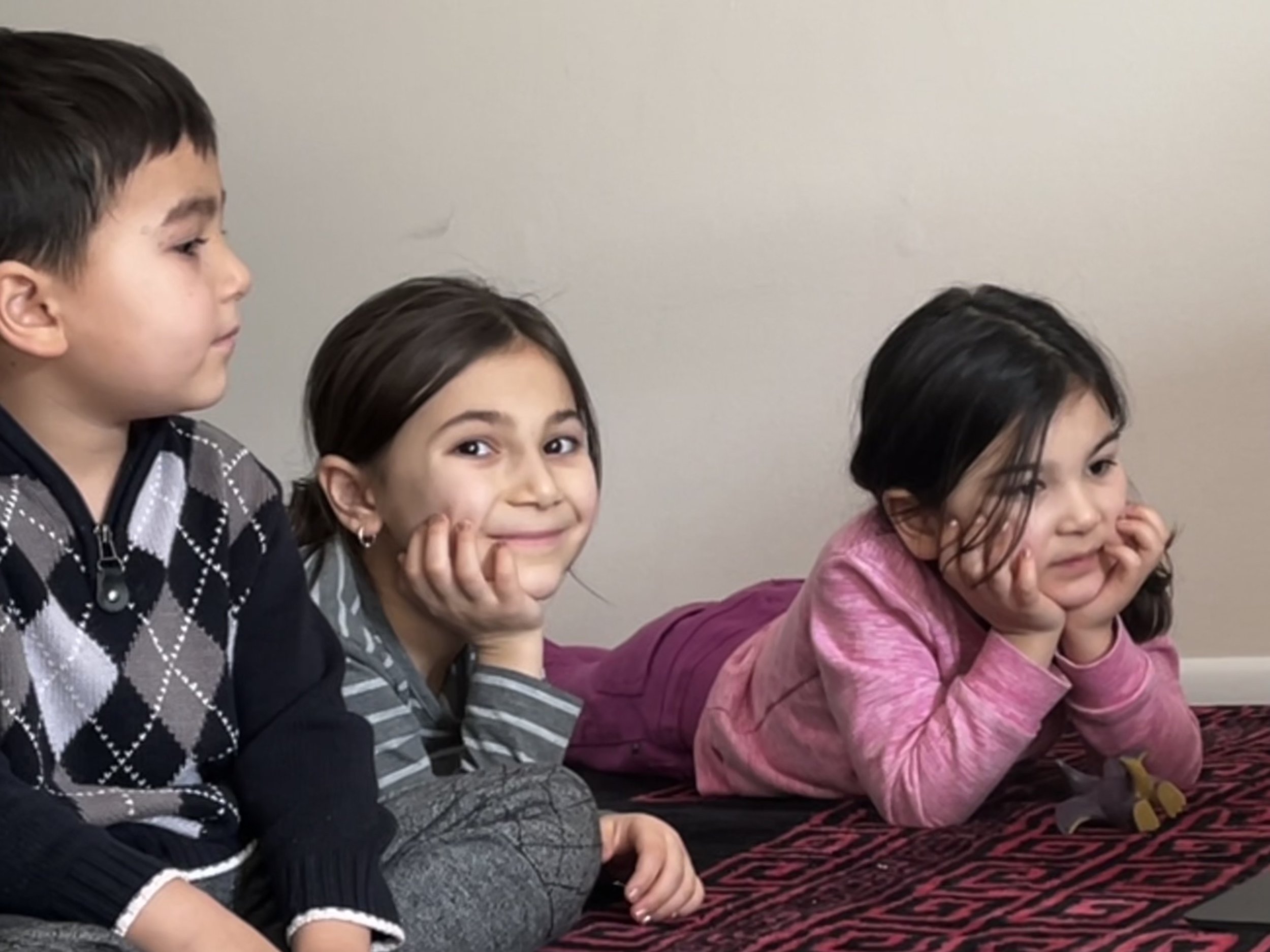 Refugee Housing MN
