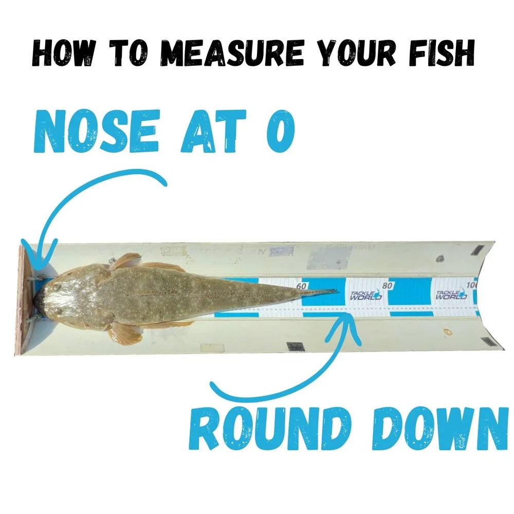 Score Capture Instructions — Gold Coast Flathead Classic