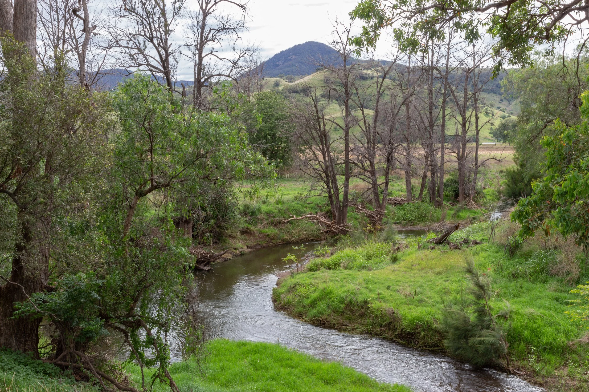Valley Alliance NSW