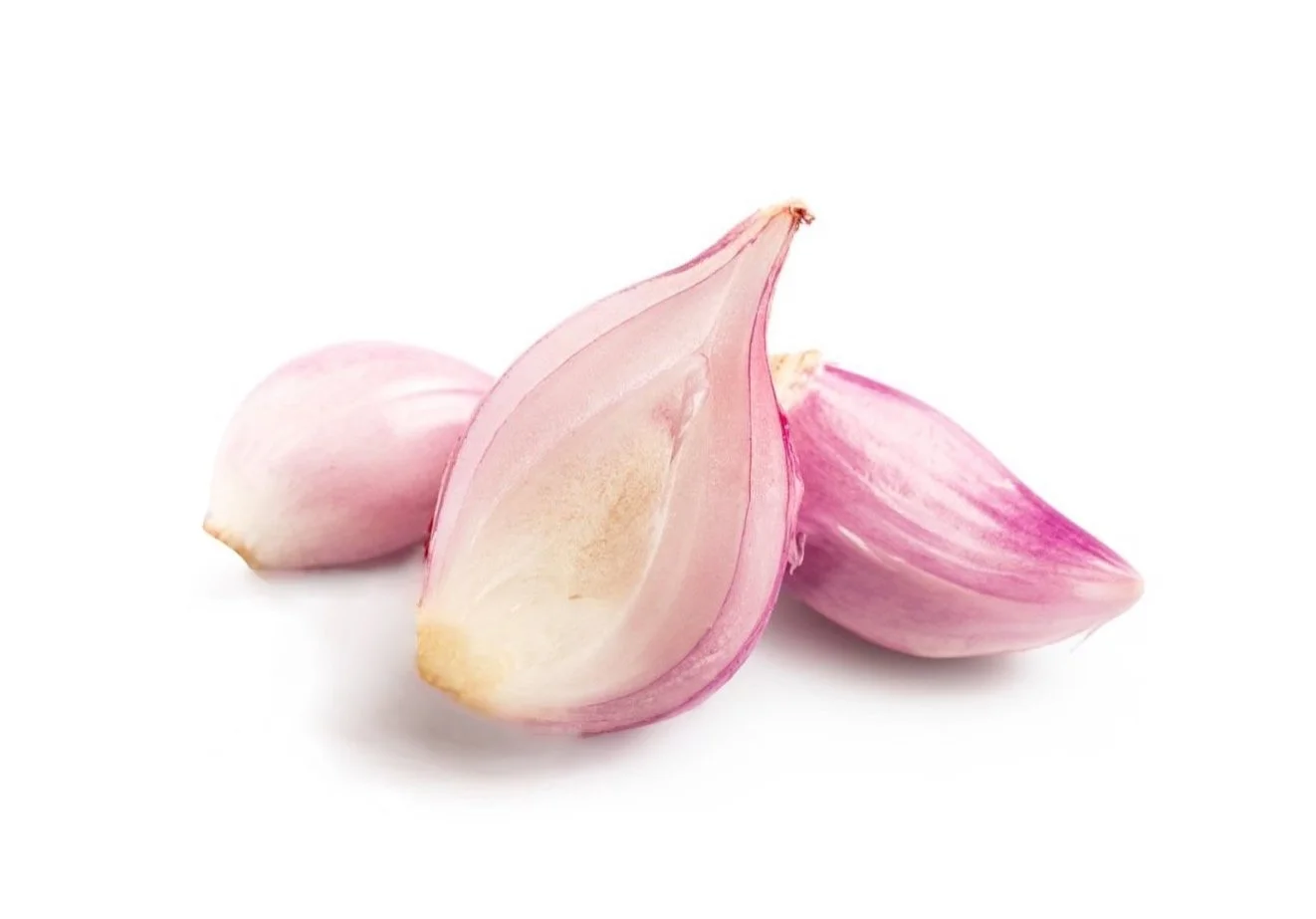 Allium - All about shallots
