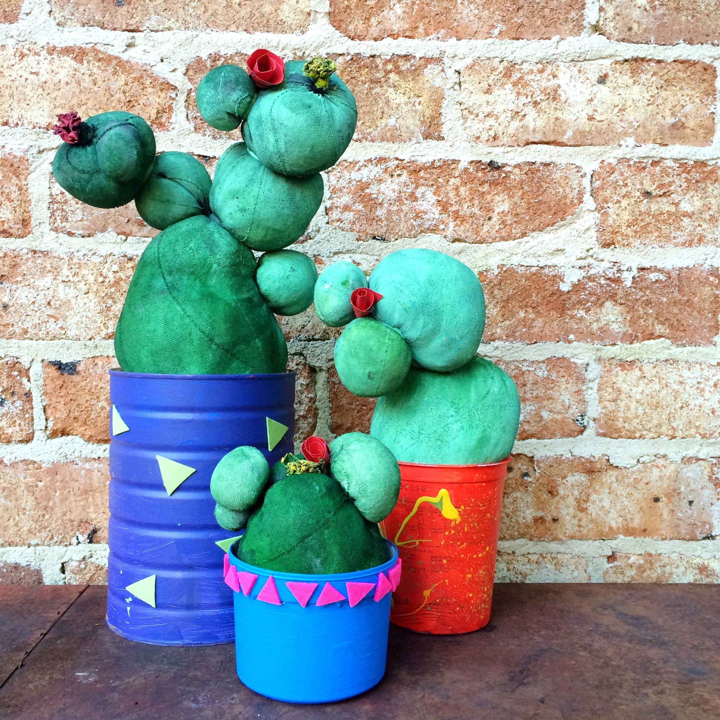 Easy care cactus — Handy with Scissors