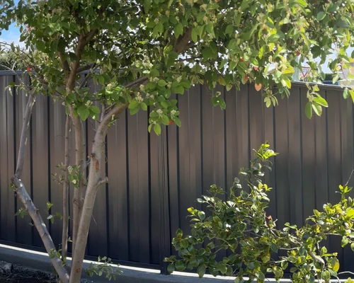 Steel Guard Fences Colorbond fencing products and affordable Colorbond ...