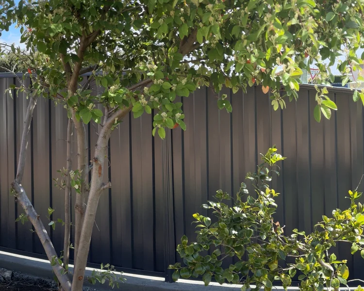 Steel Guard Fences Colorbond fencing products and affordable Colorbond ...