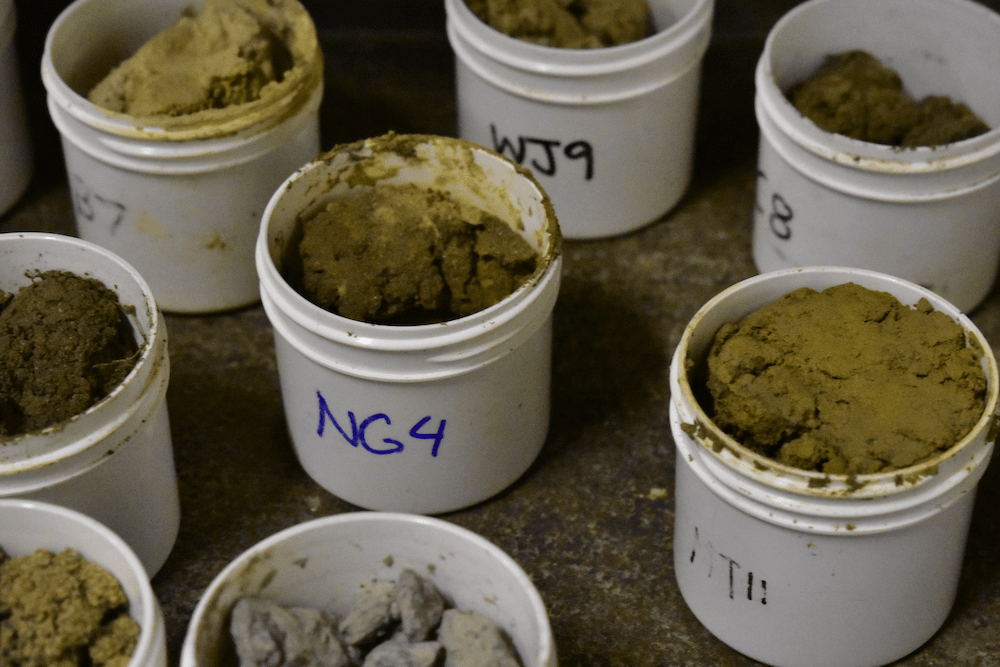 How to Conduct Comprehensive Soil Testing: A Step-by-Step Guide — PRI ...
