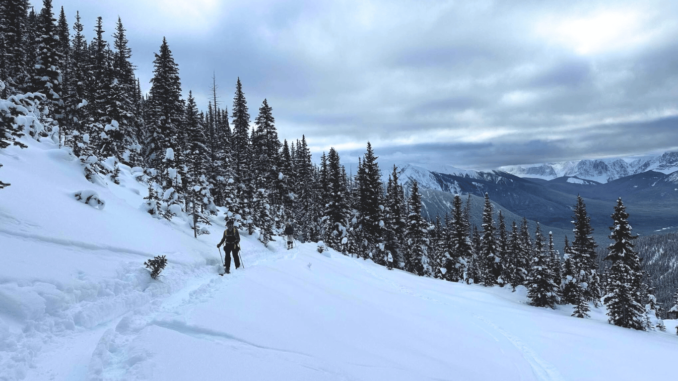 Employee Spotlight: Arman Yazdani — PRI Engineering