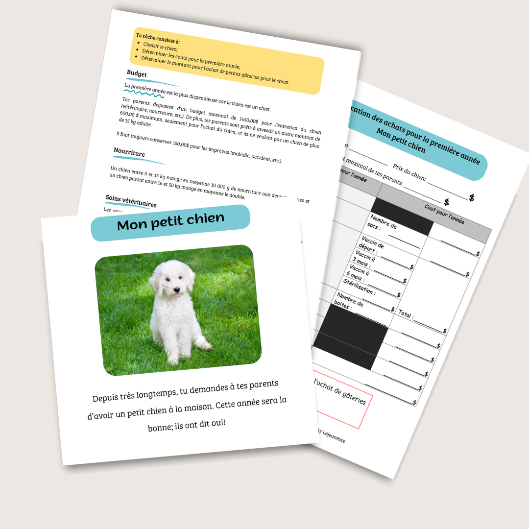 Situation-problème mathématique - Budget pour l'achat d'un petit chien ...