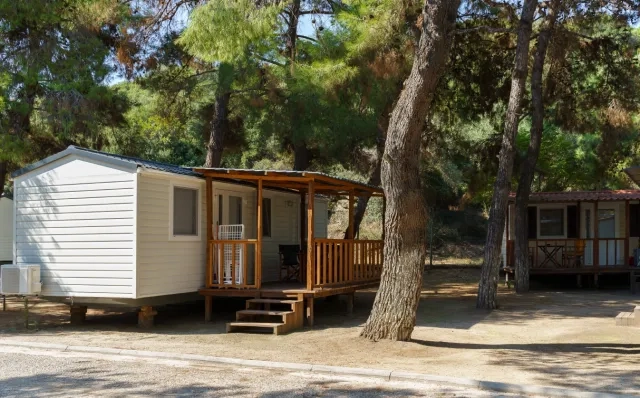 Portfolio — Evoke Capital