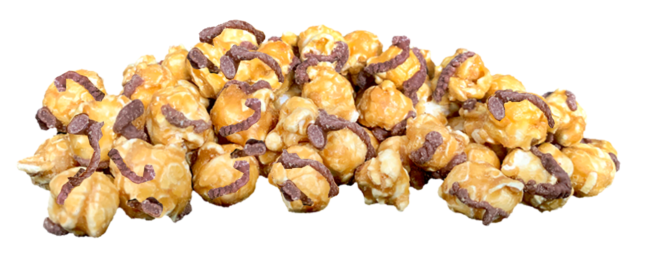 COUNCILS & UNITS — Camp Masters Popcorn