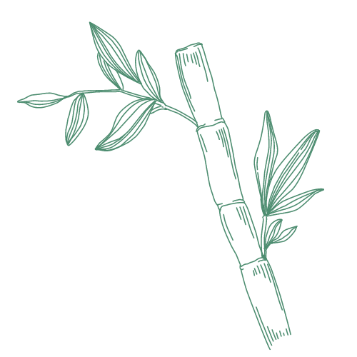 Viet Chopsticks | Your Gateway to Authentic Vietnamese Delights in ...