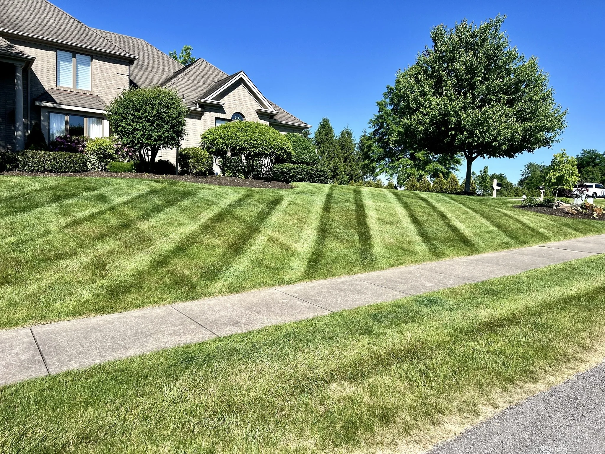 Elevated Landscaping