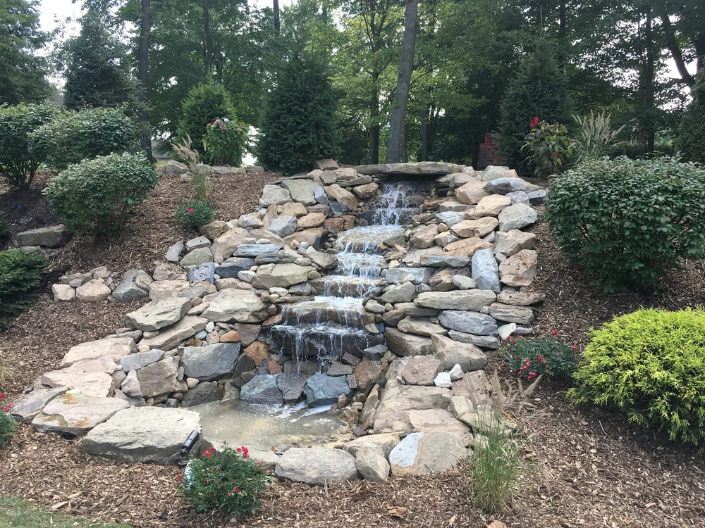 Elevated Landscaping