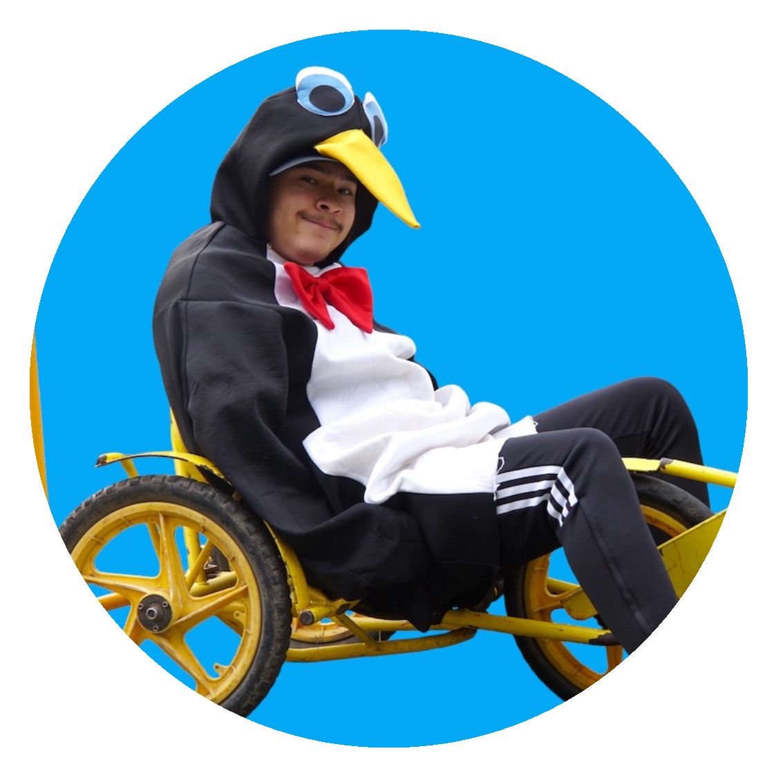 Stay and Play — ELHAP