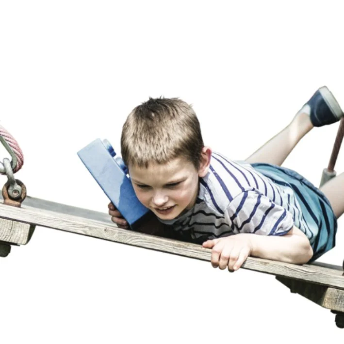 OUR SERVICES — ELHAP