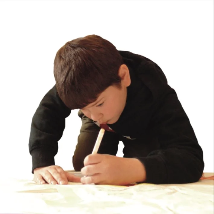 BridgeProject — ELHAP