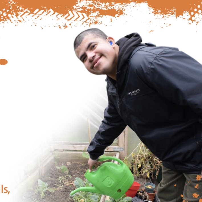 OUR SERVICES — ELHAP