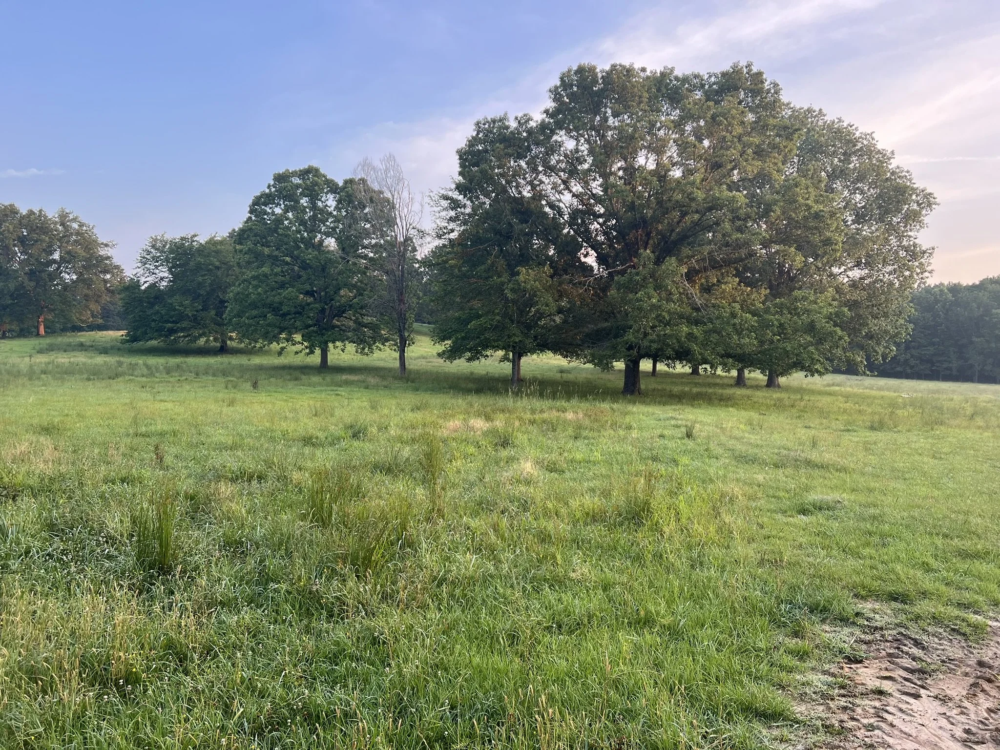 About | Third-Generation | Family-Owned & Operated — Shady Acres Farm