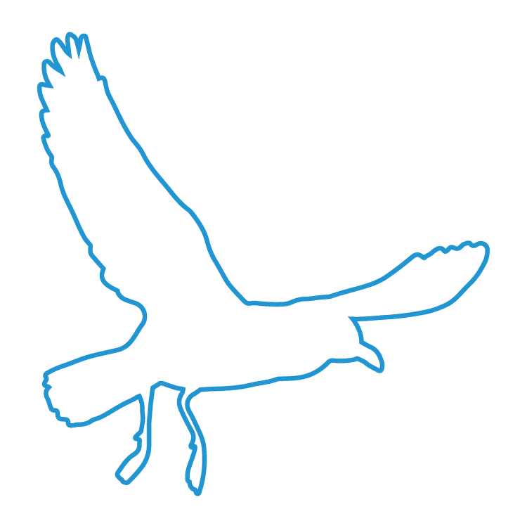 ALL SERVICES — Sound Glass: Premier Glass Solutions for Homes and ...