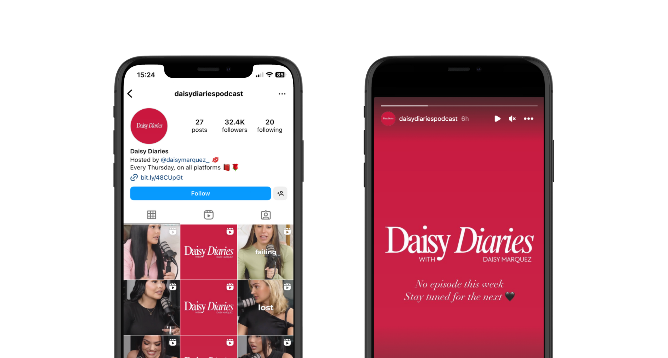 Daisy Diaries | Podcast Artwork — Kate Terentieva