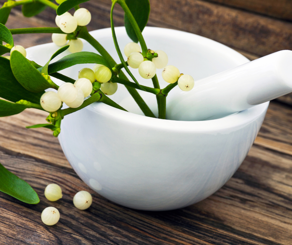 Mistletoe Therapy | Enhance Wellness Today – Book a Consultation ...