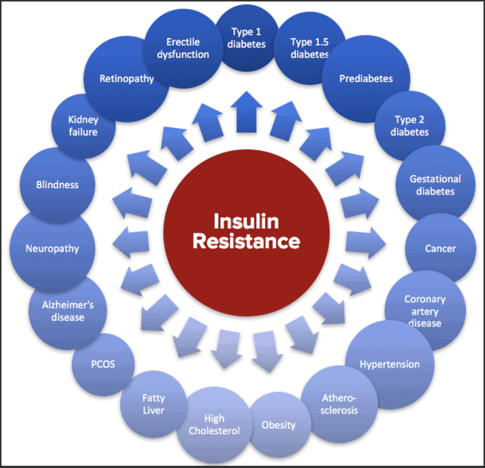 How Insulin Resistance Impacts the Cancering Process — Cincinnati ...
