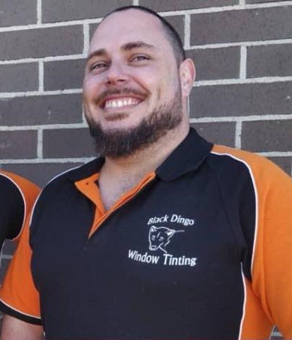 Black Dingo Window Tinting