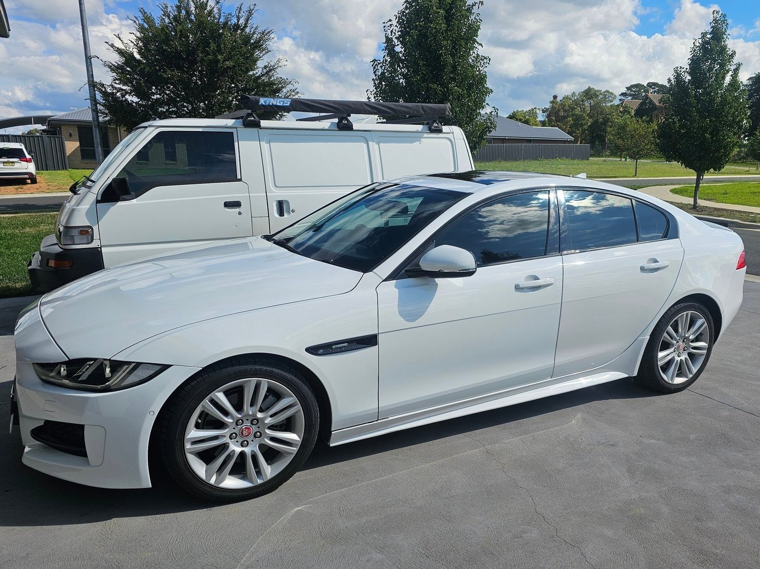 Black Dingo Window Tinting
