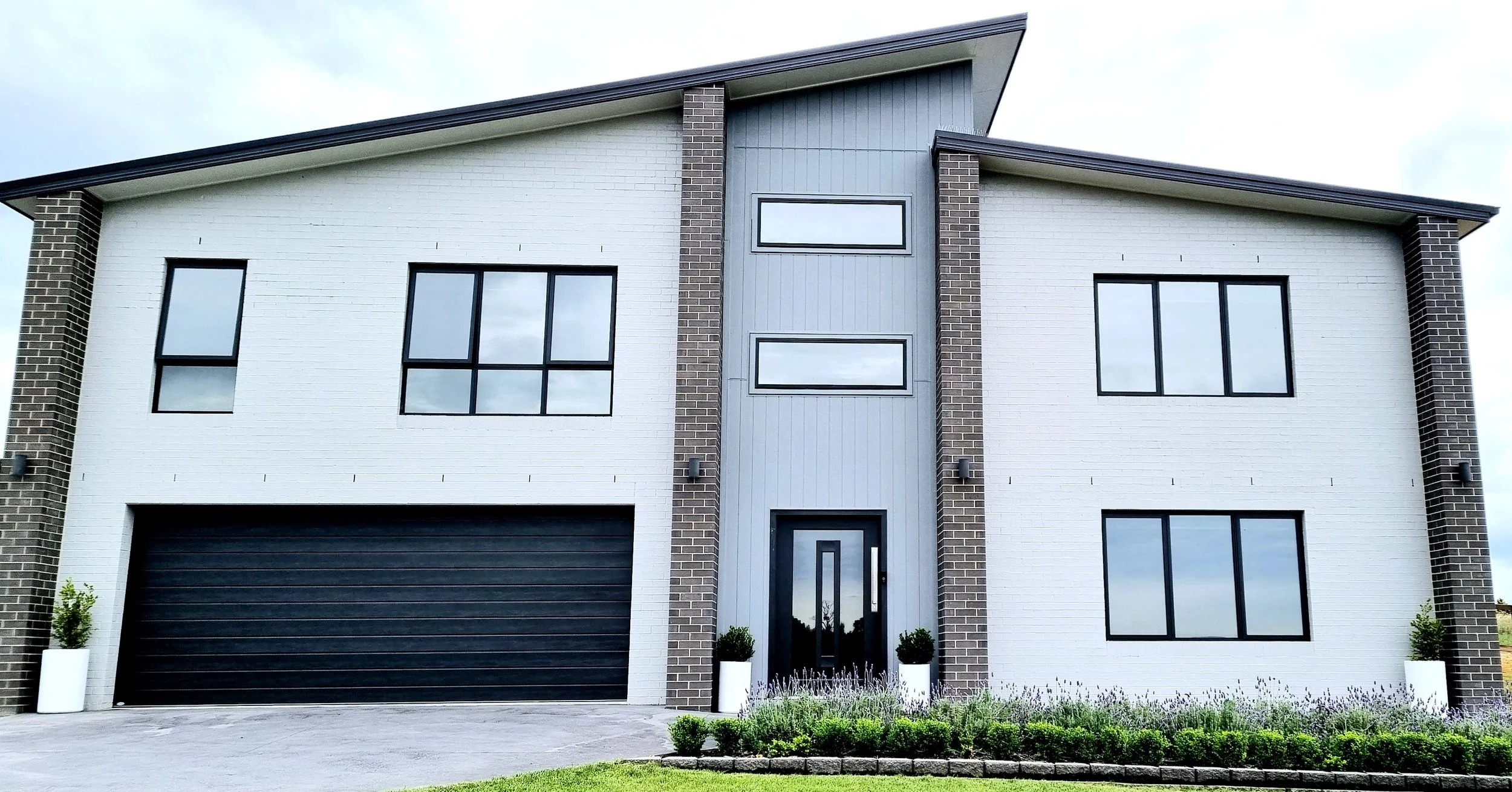 Black Dingo Window Tinting