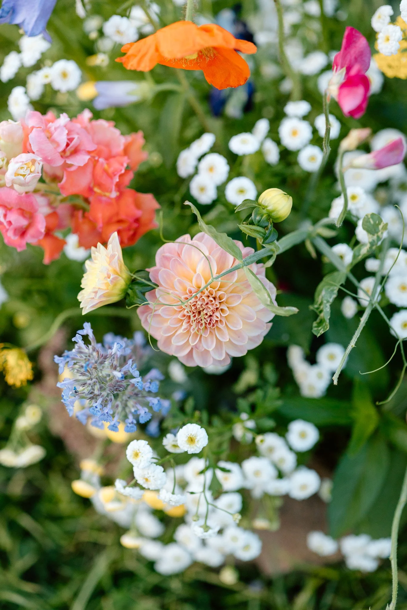 Madeline Palardy Photography