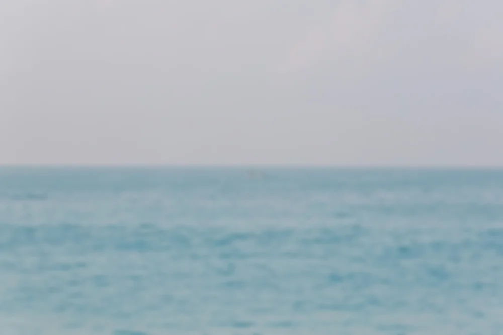 Madeline Palardy Photography