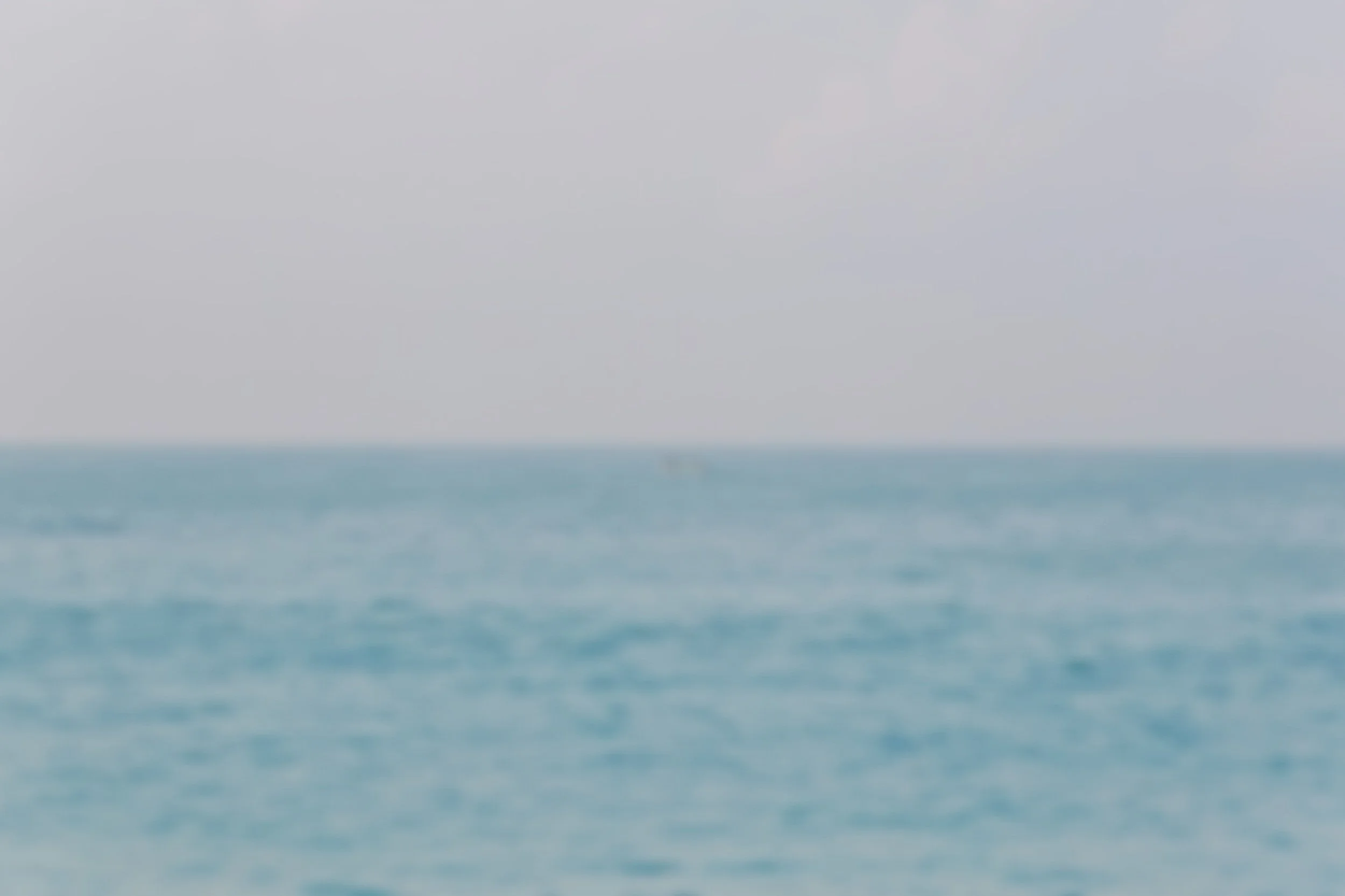 Madeline Palardy Photography