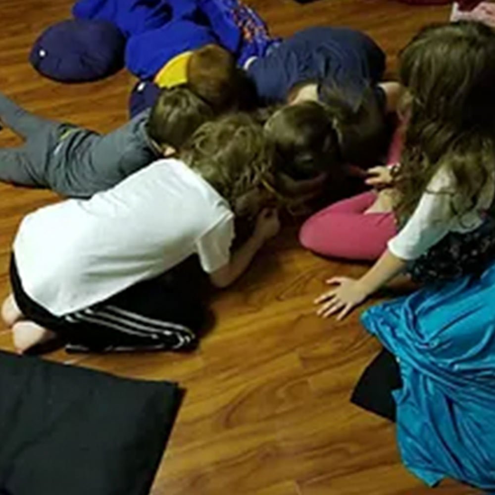 Jane Weedon, PT - Integrative Physical Therapy & Healing Arts