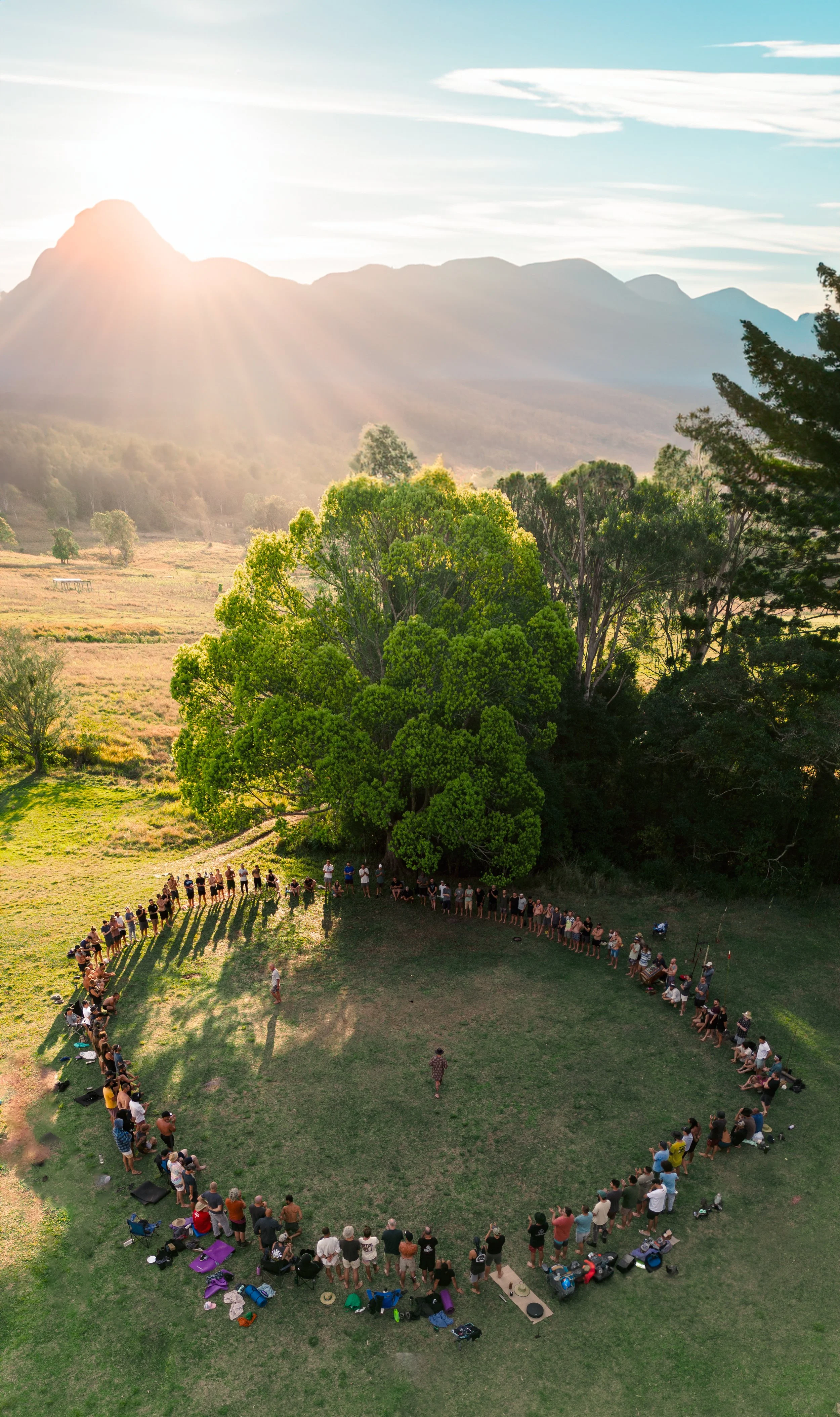 Transformative Growth Institute