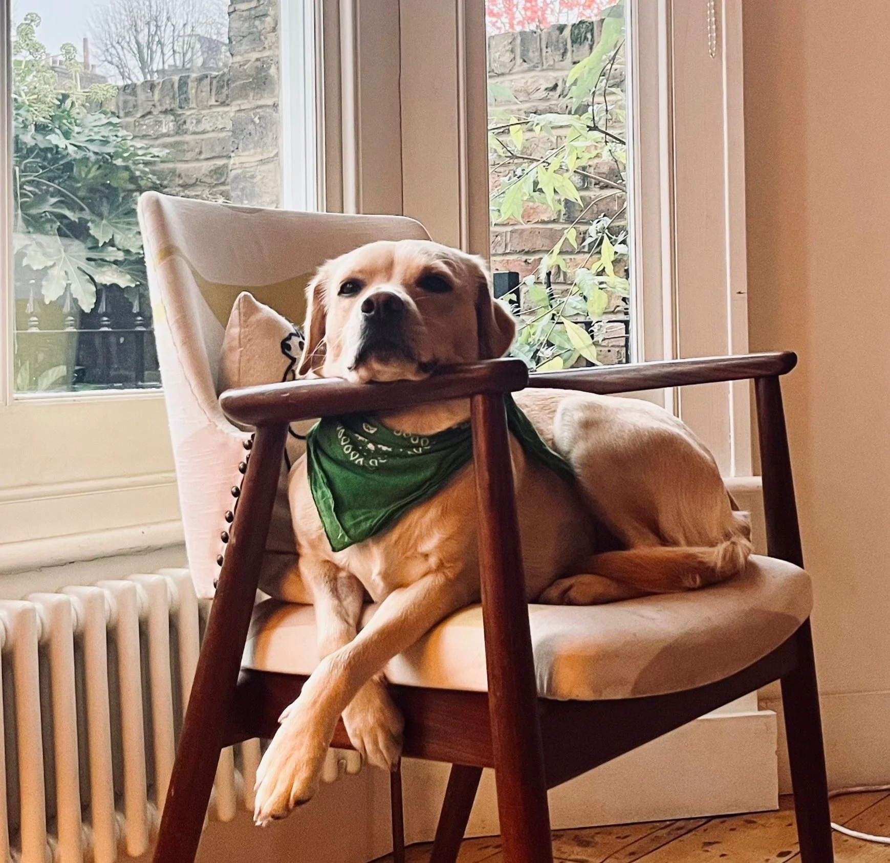 Heartbreak Recovery Specialists