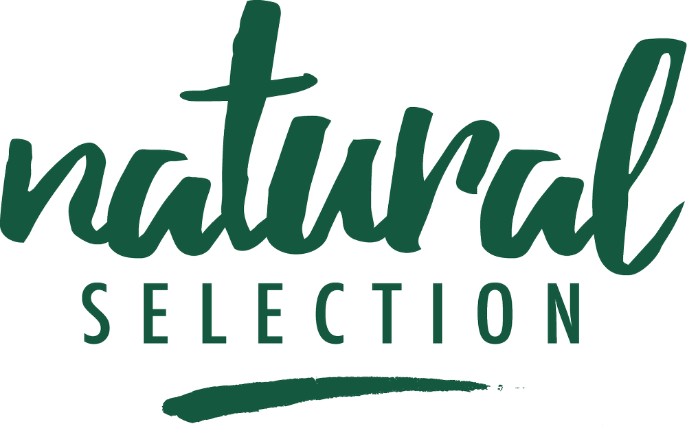 Brands — Natural Selection Foods