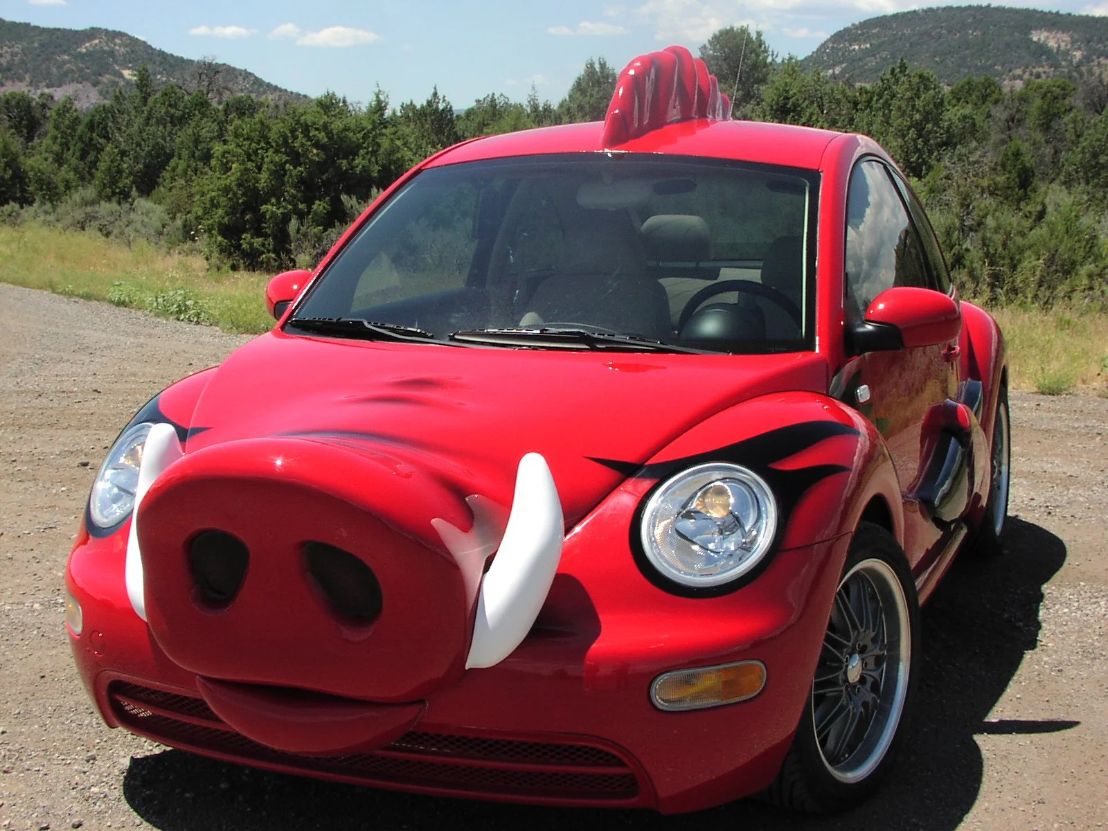 University of Arkansas Razorbug — Evergreen Creative