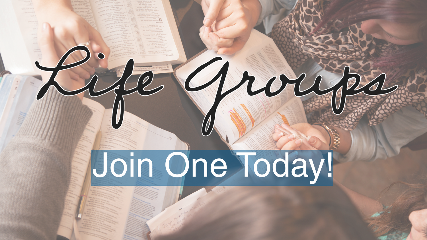 Life Groups — Shore Christian Church