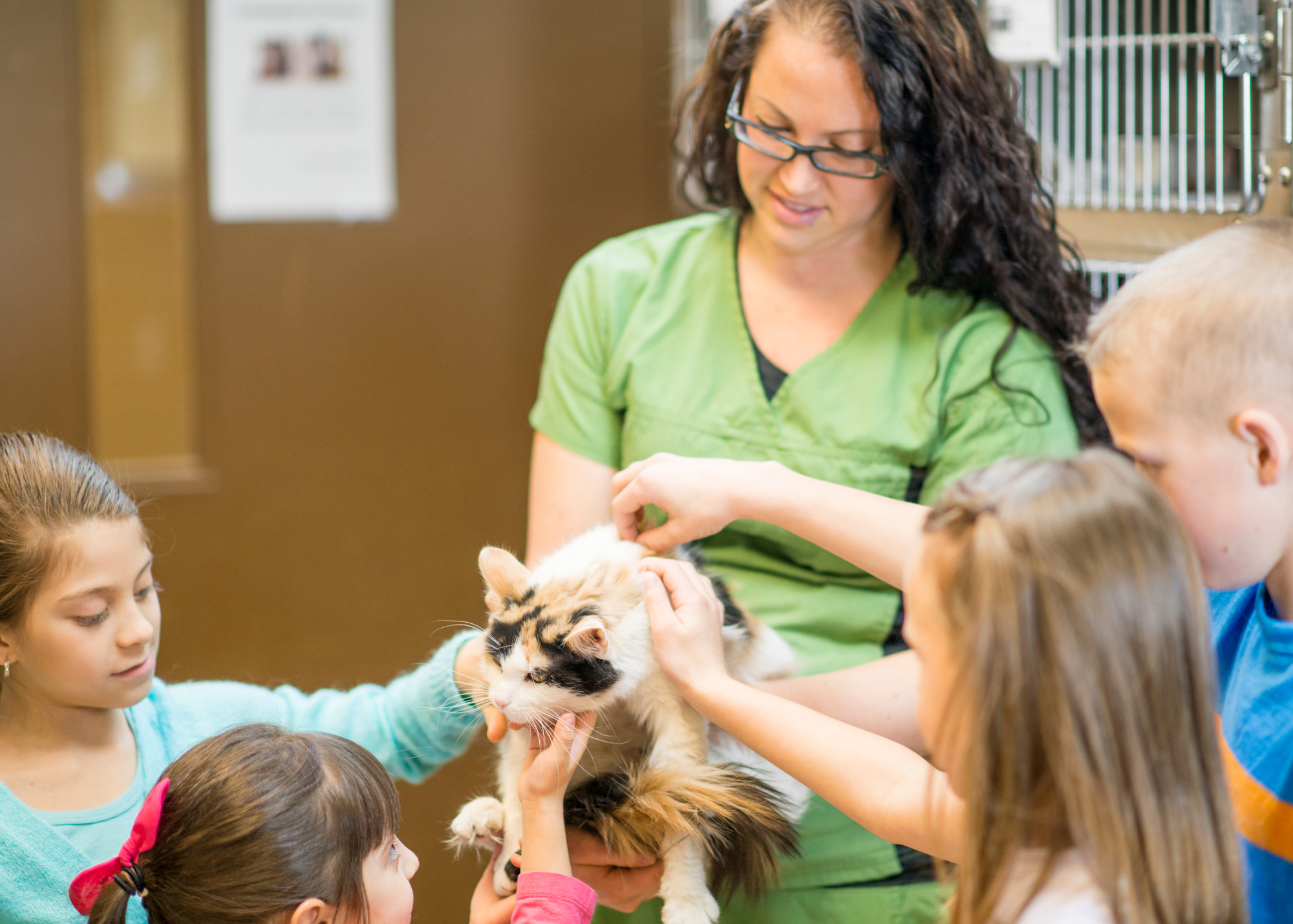 Dog and Cat Unit Study Ideas for Homeschool Families / Cat & Dog unit ...