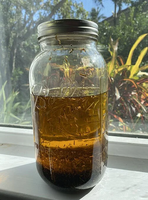 How to Make An Herbal infused Oil