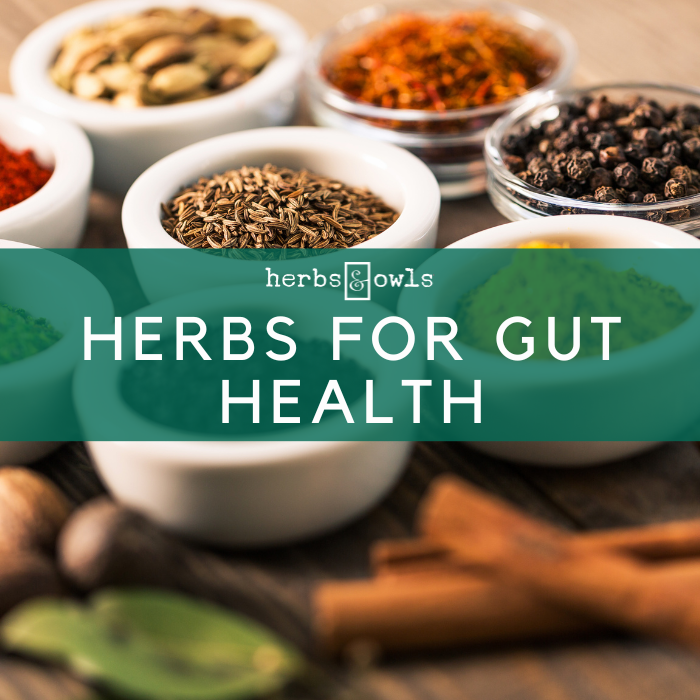 Herbs for Gut Health