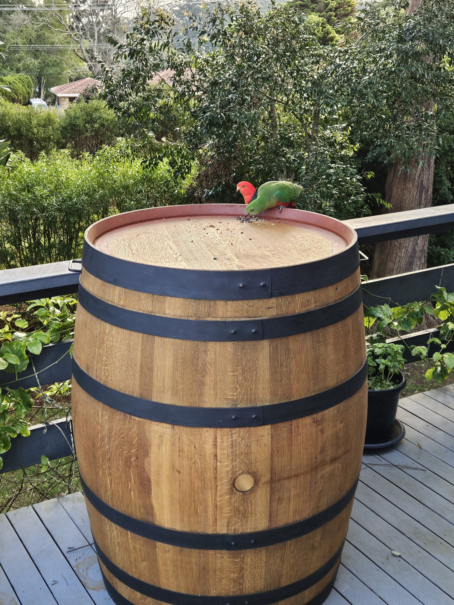 Wine Barrels For Sale - Premium Wine Barrels Brisbane, Gold Coast ...