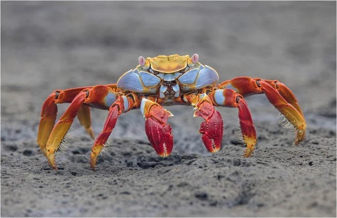 Rolls Royce Derby Photographic Society