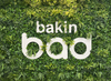 Bakin Bad