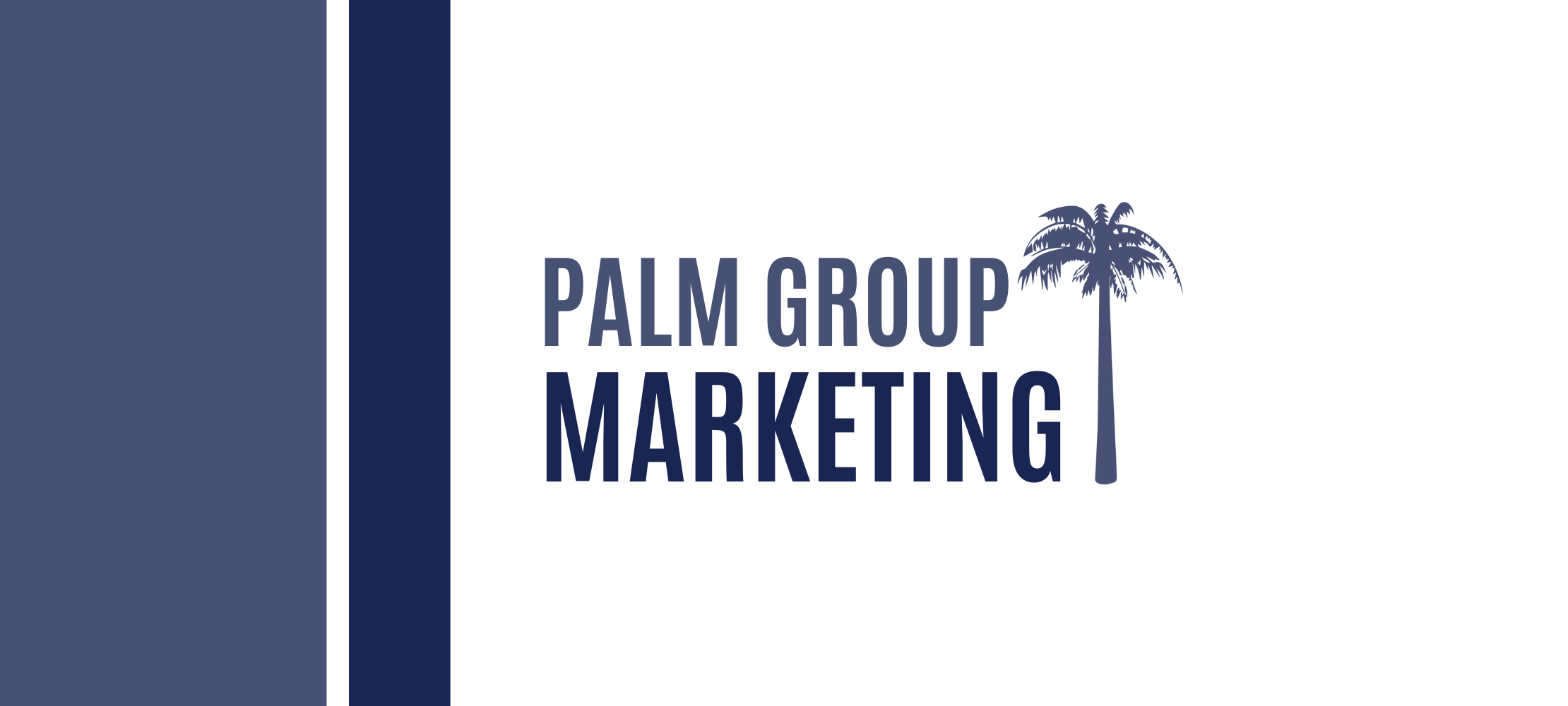 Palm Group Marketing — Palmetto Fortis
