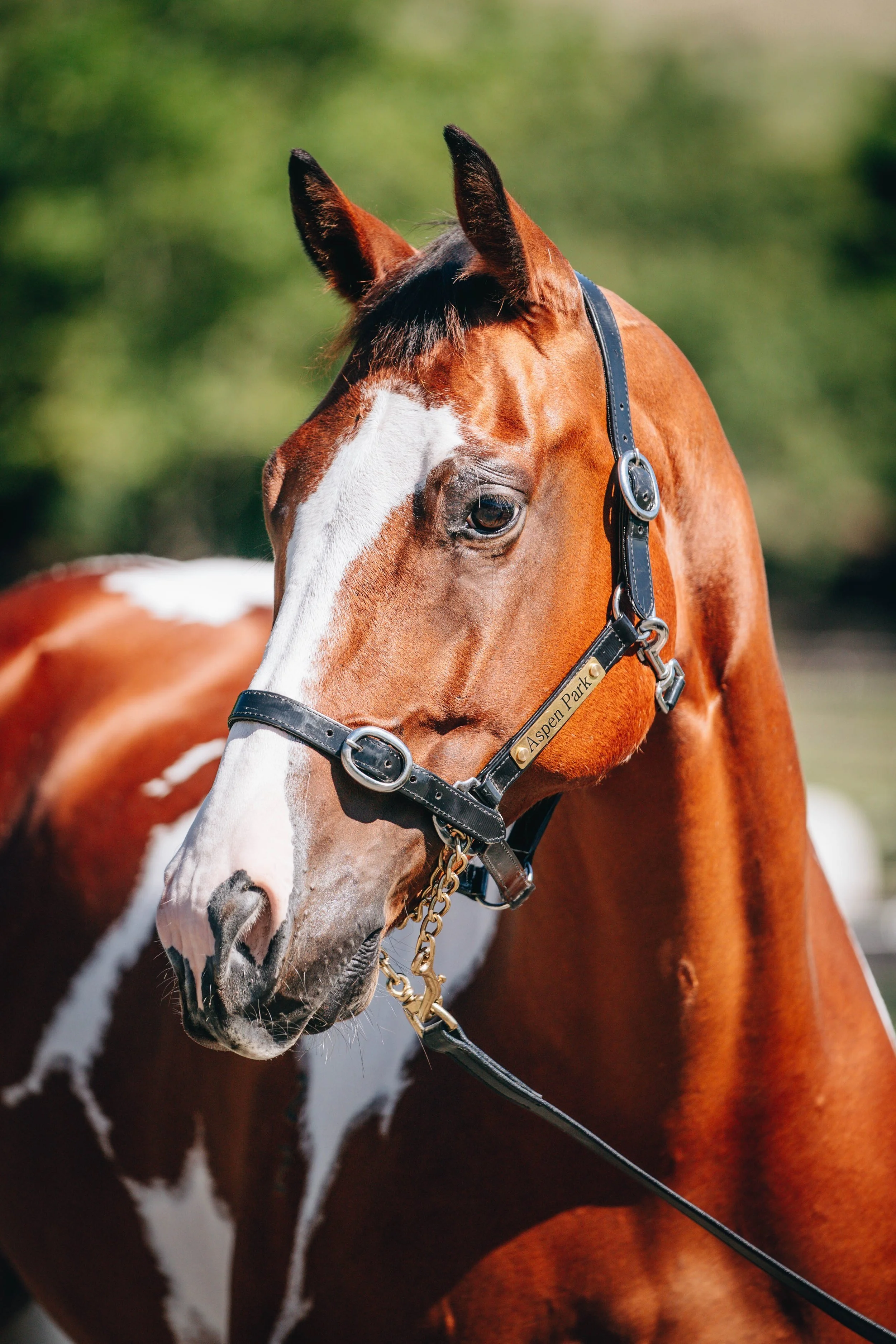 Michelle Clarke Photography