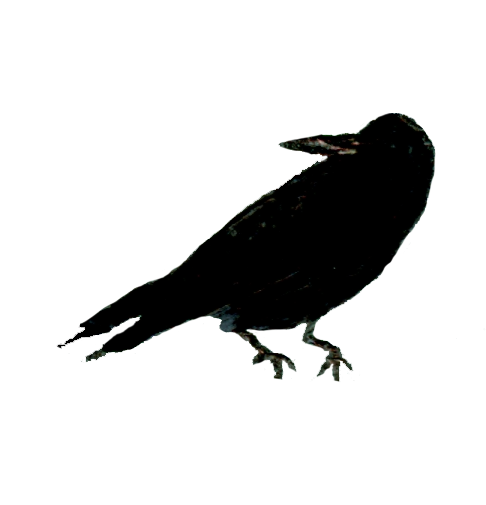 Ella Frances Sanders