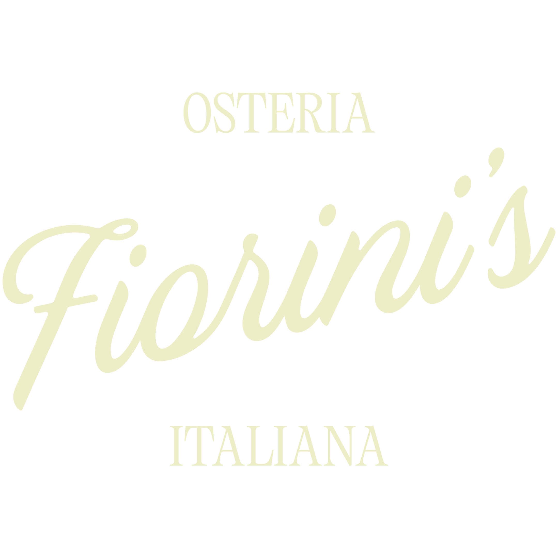 fiorinis